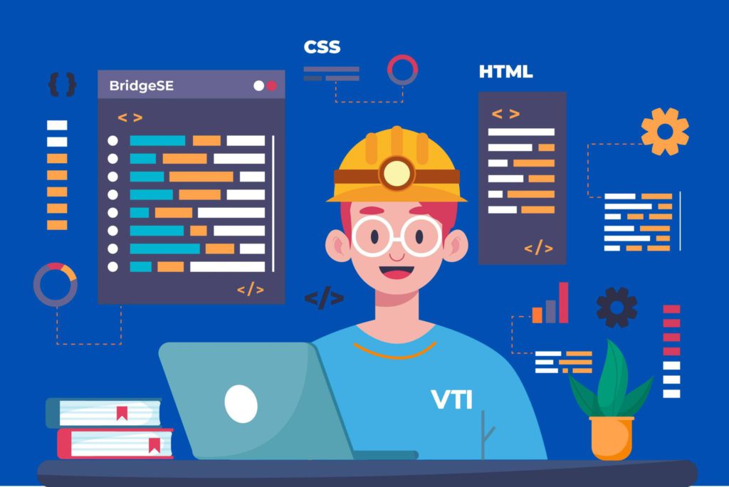 What is Bridge System Engineer (BrSE)? 6 Key Points You Should Know - VTI